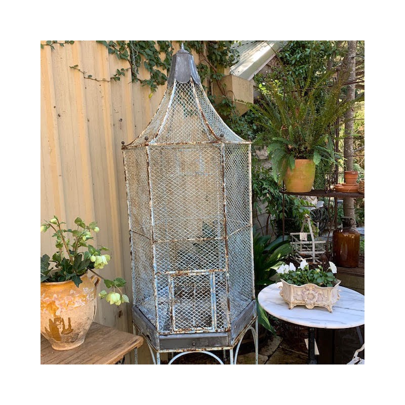 C19th Blue Bird Cage