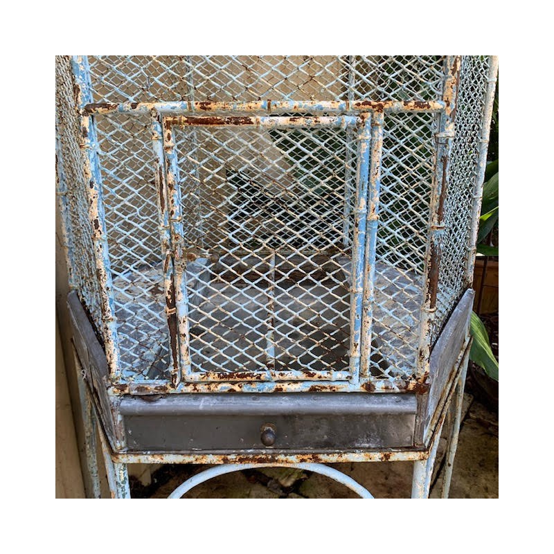 C19th Blue Bird Cage