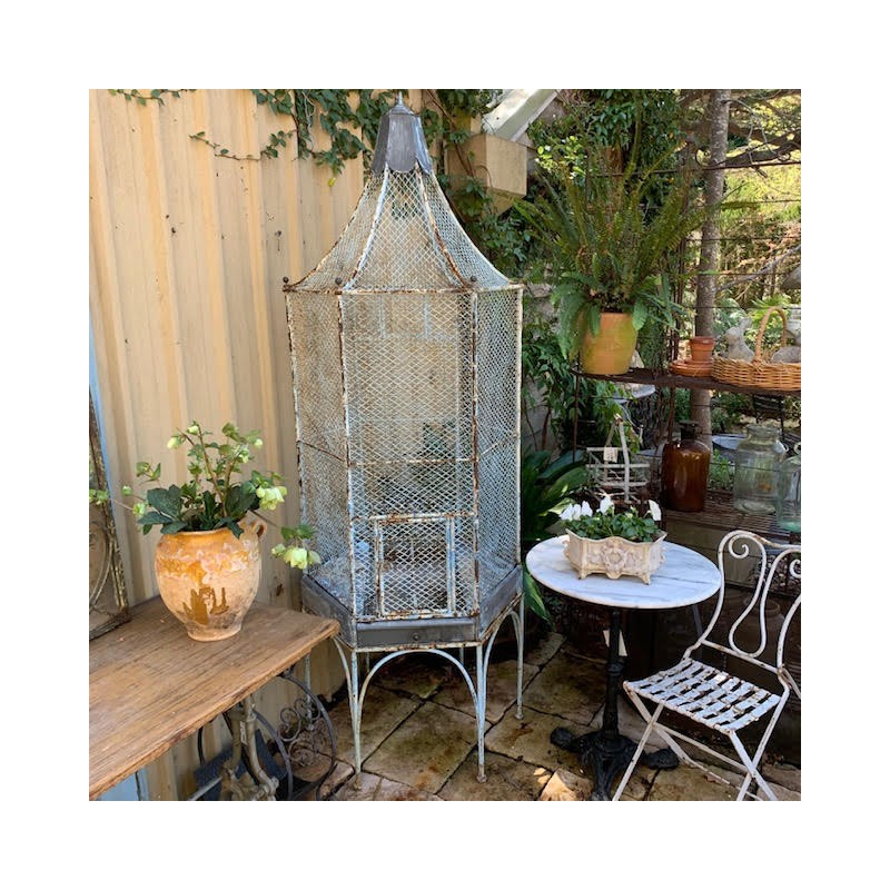 C19th Blue Bird Cage